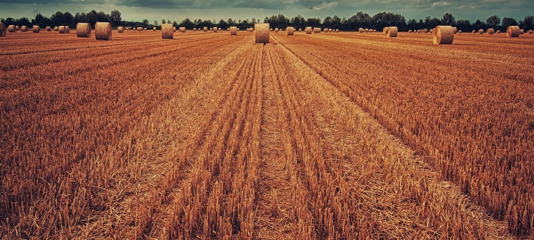 51 Versículos sobre la siembra y la cosecha - Amor A Cristo