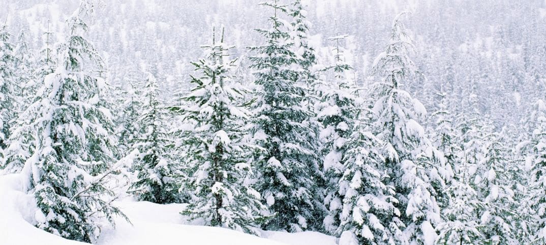 60 Mejores Versículos sobre la Pureza - Amor A Cristo